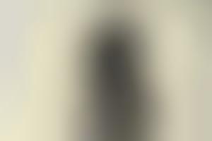 Intimate Comrade Illustrations : thomas cian