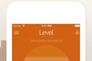 Personal Spending Monitoring Apps : Level Money App