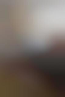 Clever Bunk Hideaways : Disappearing Bed