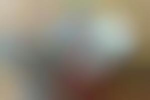 Mini Magnetic Photo Books : mini photo book