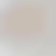 Foodie Infographic Dishes : Starck Plates