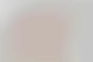 Foodie Infographic Dishes : Starck Plates