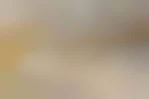 $100 Luxury Toothpaste Tubes : theodent 300