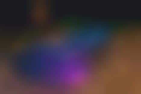 Violin-Shaped Pools : violin swimming pool