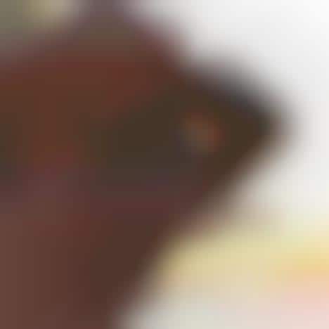 Storage Compartment Phone Cases : Pocketbuddy Case