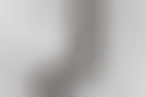 $15,000 Wool Socks : cervelt socks