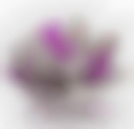 Exploding Cushion Couches : Hanabi Sofa by Yuki Abe