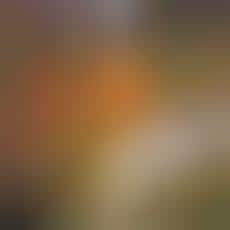 Burger Bike Bells : bike bell