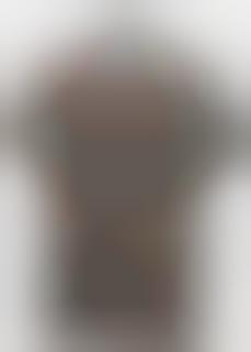 Collaged Comedian Shirts : Zach Galifianakis