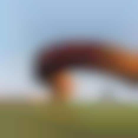 65 Bold Bridge Designs