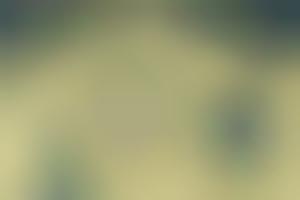 Free Ice Sculpture Libraries : free ice library