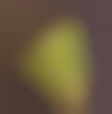 Artisan Leather Masks: The Cannabis Leaf Mask Carnival Masks and More