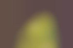 Artisan Leather Masks: The Cannabis Leaf Mask Carnival Masks and More