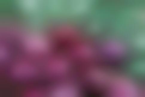 Fashionable Consumer Candy: M&Ms Premiums