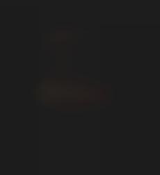 Mocking ESL Signs: LOL Cats Launches EngrishFunny.com