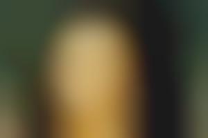 Remixed Renaissance Art: 10 Mona Lisa Parodies