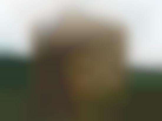 54 Unique Alternative Homes