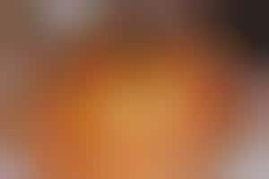 Science Of Bad Pizza Toppings: The Onion Research Project