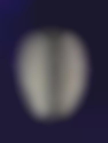 Anatomically Correct Art: 10 Brainy Examples