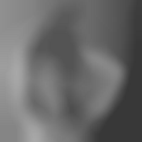 Dissolving Facial Structure Photography : Warped Faces