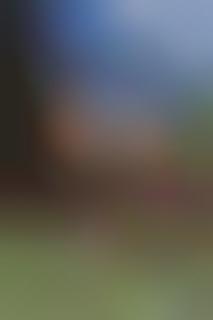 Revived Landmark Abodes : "fitzroy house"