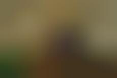 Social Media Cooking Shows : instagram cooking