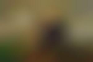 Social Media Cooking Shows : instagram cooking