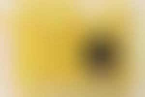 Tiny Cheese Cameras : Chobi Cam Cheese