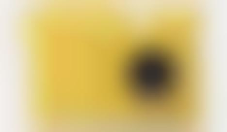 Tiny Cheese Cameras : Chobi Cam Cheese