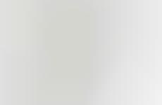 Natural Forest-Themed Chairs : nature chair