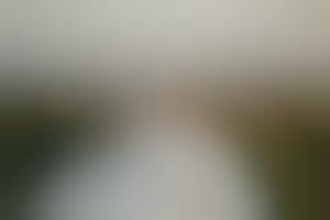 Cultural Chalk-Adorned Photography : tribal photography