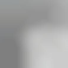 Realistic Creepy Crawly Tacks : insect push pins