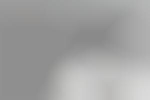 Realistic Creepy Crawly Tacks : insect push pins