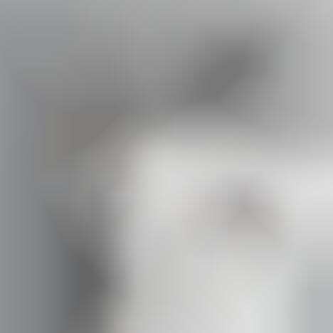 Realistic Creepy Crawly Tacks : insect push pins