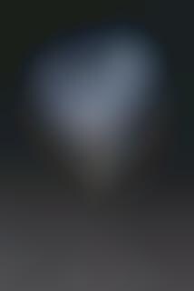 Reflective Reindeer Antlers : reindeer antler