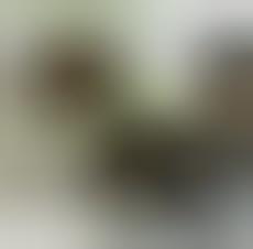 Feline Hideaway Cat Stands : Rondo Stand