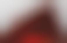 Interwoven Net Installations : Numen/For Use