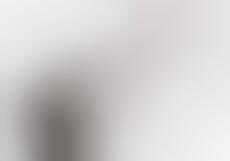 Assisting Sushi-Preperation Gadgets : the sushi bazooka