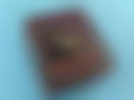 Luxurious Functional Firearm Rings : gun ring