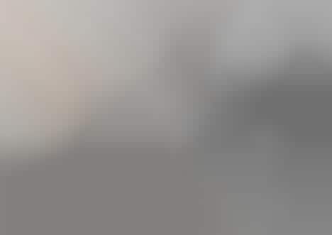 Quirky Humanimal Illustrations : Artist Helena Frank