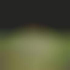 Hauntingly Evocative Female Captures : Laura Williams