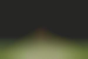 Hauntingly Evocative Female Captures : Laura Williams