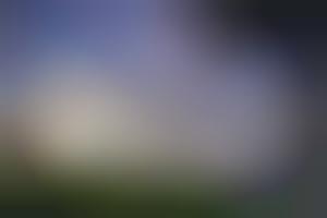 Wonky Slanting Grid Pavilions : Jubilee Pavilion