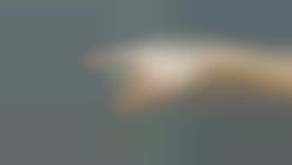 All-Controlling Hi-Tech Jewelry : Ring by Logbar Inc.