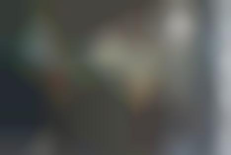 Spontaneous Incovenient Item Shops : Inconvenience store