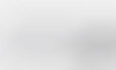 Pudgy Upholstered Perches : Chummy Collection