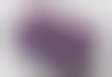 Lavish Tissue Papers : most expensive tissue