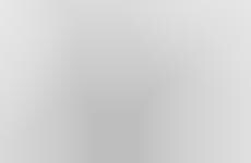 Doodled Animal Drawings : Quentin Horn