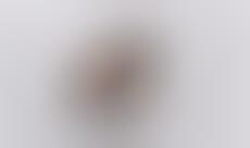 Biodegradable Book Packaging : Biodegradable Product Design