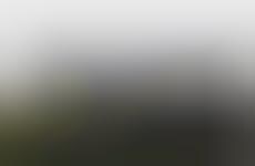 Boxy Beach Abodes : modern beach home